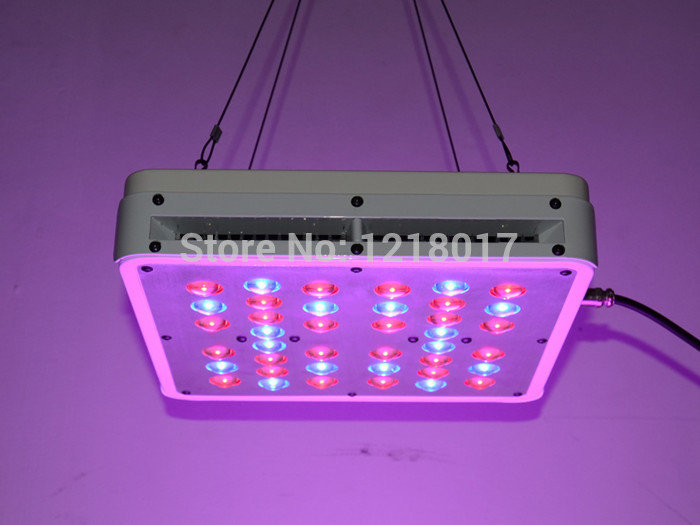 cidly led plant light,led lights,led grow 200w with high power 5w chips