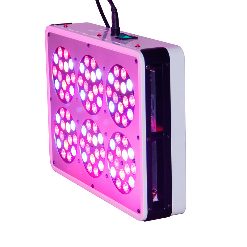 Taiwan EPI LED indoor garden and lighting cidly led 6 270w led lights grow full spectrum