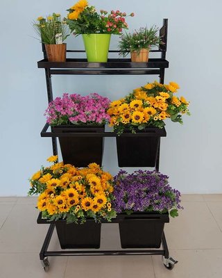 Mobile Flower Display 100kg Loading Capacity With Vases And Shelf
