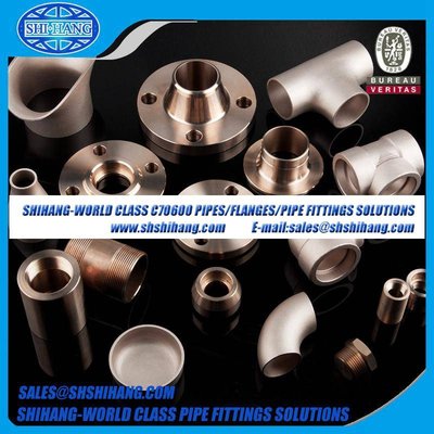 copper nickel UNS C70600 CUNI 9010 flange Solid Threaded Flange-ASME B16.5