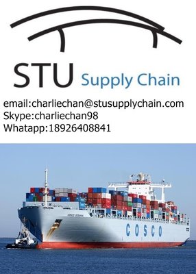 China Cheap Fast and Safety Ocean shipping Service to CAACUPEMI PYCAA,Paraguay supplier