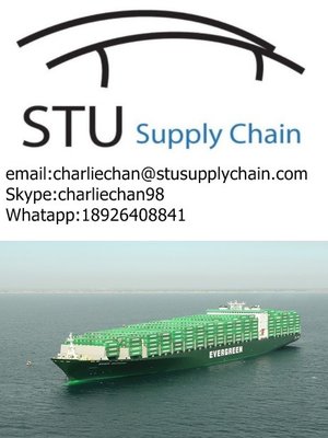 Door to Door Transportation Services from China to SAO FRANCISCO DO SUL,Brazil supplier