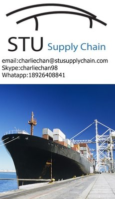 Door to Door Service from China to SAN ANTONIO ESTE,Argentina supplier