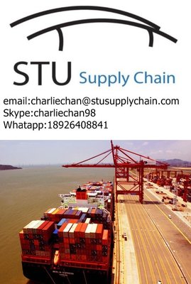 Cheap Fast and Safety Ocean shipping to FENIX,Paraguay supplier