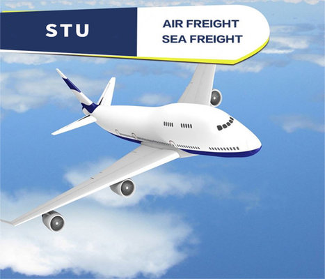 Sea freight forwarder agent from china to USA have own warehouse by DDU DDP supplier