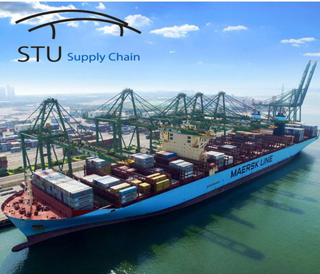 Excellent Sea Shipping Company Freight Forwarder From Shenzhen China To Hungary South Africa supplier