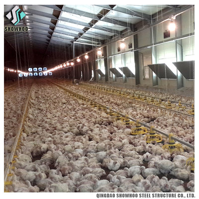Commercial Steel Frame Broiler Poultry Farm Shed Prefabricated Chicken House Designs For Sale
