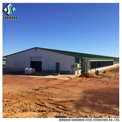 Commercial Prefabricated Steel Structure Designs Poultry Chicken House Sale