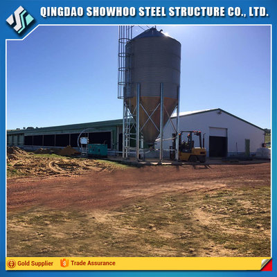 Large Scale Steel Structure Chicken House Building Design Poultry Farm Shed