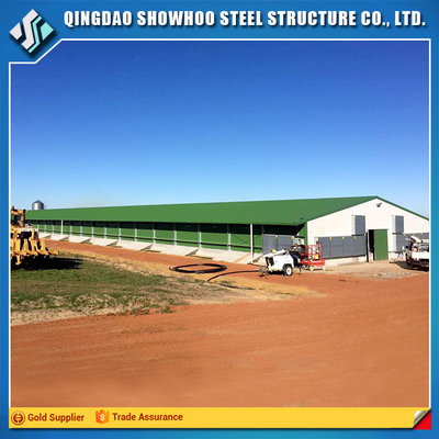 Free Range Prefabricated Steel Structure Poultry Farm Shed Design Chicken House for Sale