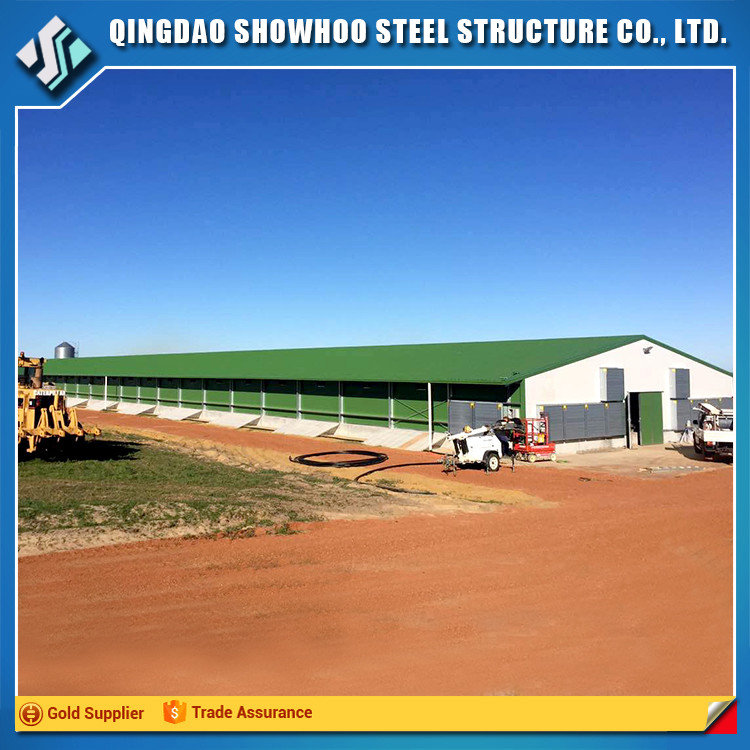 Free Range Prefabricated Steel Structure Poultry Farm Shed Design Chicken House for Sale