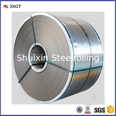 china supplier zinc strip galvanized steel strip / coils / sheet / plate