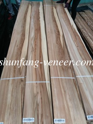 Sap Gum Veneer, Red Gum Veneer, Satin Walnut Natural Wood Veneers supplier