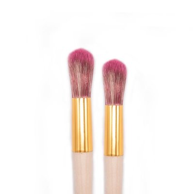 Nylon Silk Hair Bicolor Synthetic Paint Brush Set