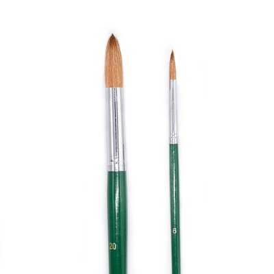 Goat Hair 10Pcs #20 Artist Paint Brushes Set