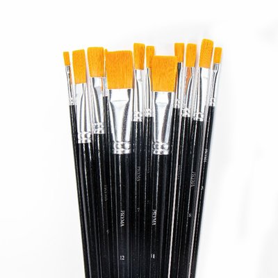 Black Handle 12pcs Childrens Paint Brush Set