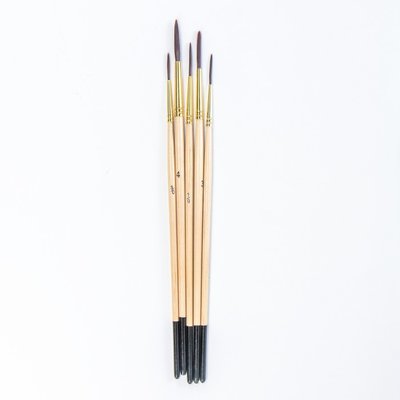 Brown Nylon Hair Wooden Handle #3 / 10 Artist Paint Brushes Set
