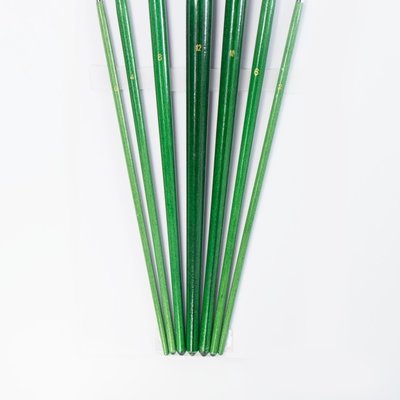 Green Nylon Hair Wood Handle 12# Artist Paint Brushes Set