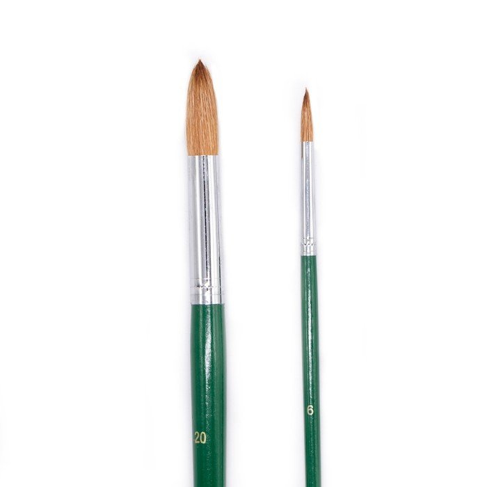 Goat Hair 10Pcs #20 Artist Paint Brushes Set