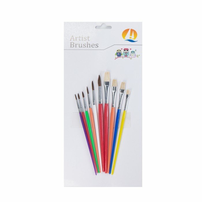 Pony / Bristle Hair Round Head Professional Artist Paint Brush Set