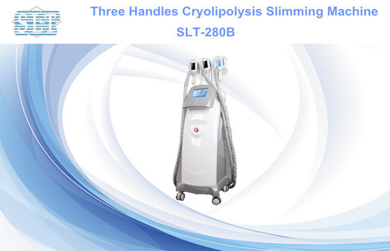 Fat Freezing Zeltiq Coolsculpting Machine Cryolipolysis For Weight Loss supplier