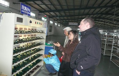 GEL Limited