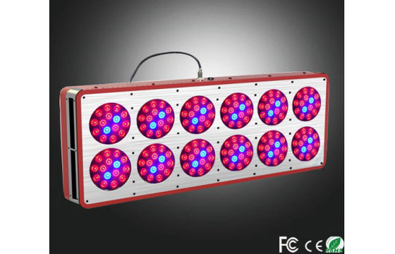 430w 7200lm Flat Panel Ceiling Led Lights For Growing Plants With Metal Paint Panel Brushed supplier