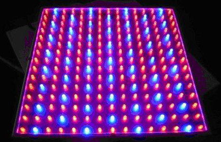 High Power 640w Led Grow Panel Light 270pcs Led Chip In Red And Blue supplier