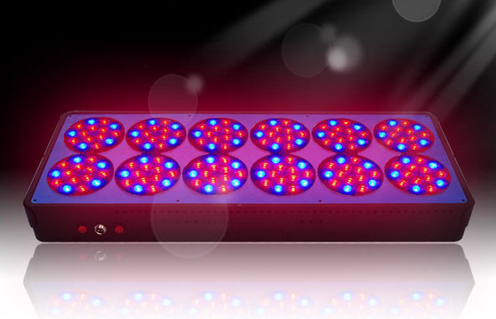 430w 7200lm Flat Panel Ceiling Led Lights For Growing Plants With Metal Paint Panel Brushed supplier