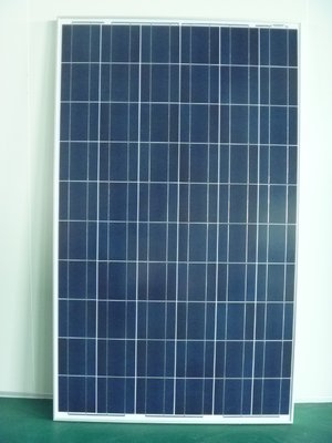 Home Built 260 Watt Poly Solar Panels , Rugged Solar Panels Polycrystalline