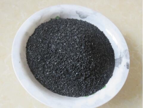 Nut Shell Based Activated Carbon