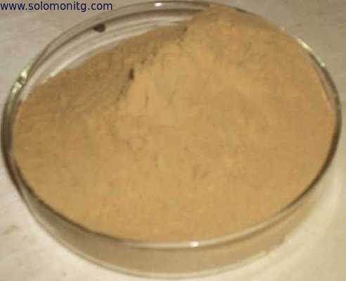 factory supply High quality olive leaf extract hydroxytyrosol--Olea europea L.