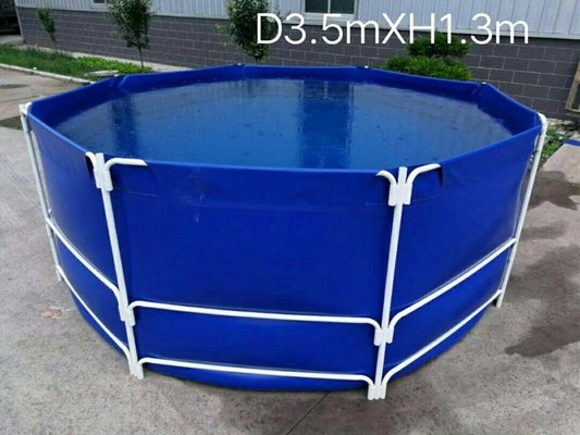 Wholesale Pvc Fish Tank