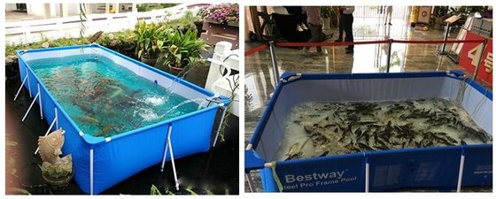 Collapsible Mobile Polygon Fish Pond And Foldable Fish Tank Manufacturers