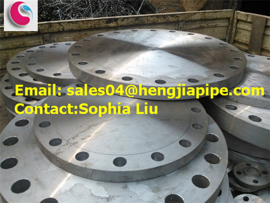 CS SS professional flanges