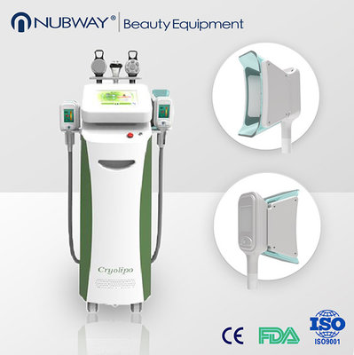 10.4 inch touch color screen 5 handles cryolipolysis liposuction machine on sale