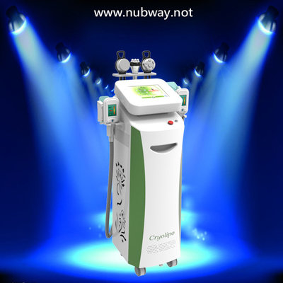 2018 Top Selling Products Ultrasound Vacuum Suction Cavitation Body Shaping Kryolipolyse Coolplas Handheld Cellulite Red