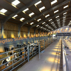China Low cost Cow Feeding Industry Steel Structure Shed with Modern Design supplier