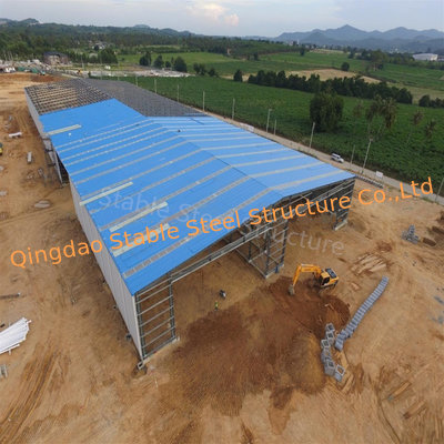 South Africa Pre-Engineered Steel Buildings for Commercial and Industrial Application supplier