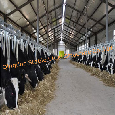 Low cost Cow Feeding Industry Steel Structure Shed with Modern Design supplier