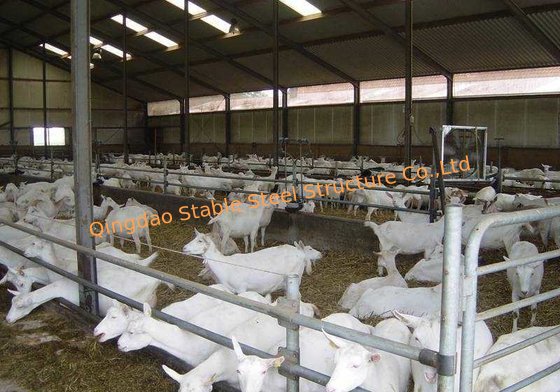 Prefabricated Structural Steel Goat Shed for Sale with nice design supplier