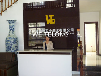China Construction Hoist Elevator Online Marketplace
