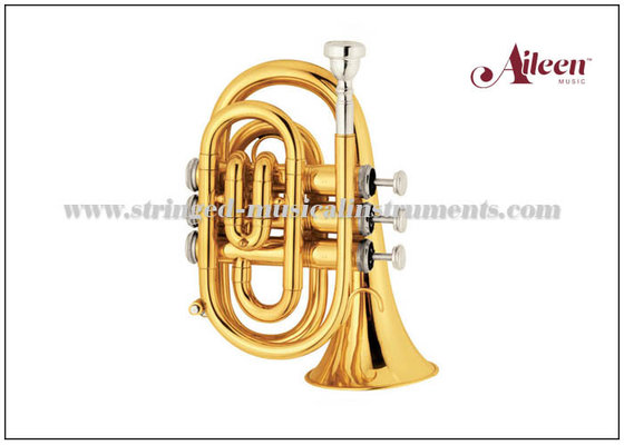 Mini Brass Musical Instruments Bb Key Pocket Trumpet / Student Model Trumpet HTP8504G