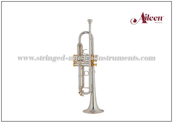 Stainless Steel Piston Style Student Model Trumpet Silver Plated Finished
