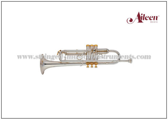 Stainless Steel Piston Style Student Model Trumpet Silver Plated Finished
