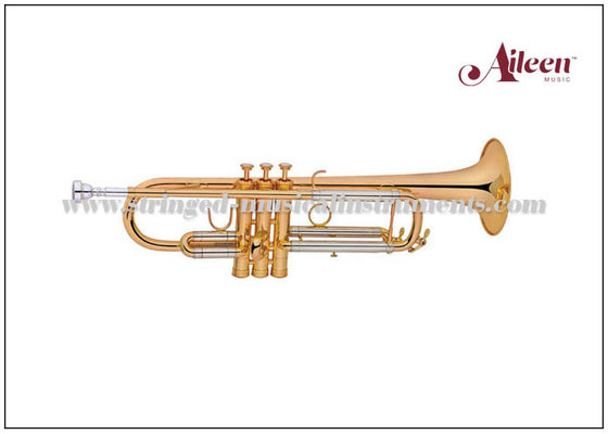 S Style Intermediate Model Brass Musical Instruments Professional TP8398G