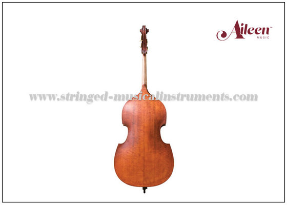 Arched Back Flamed Handmade Upright Double Bass for Students / Beginners