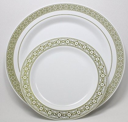 plastic plate 10.25"