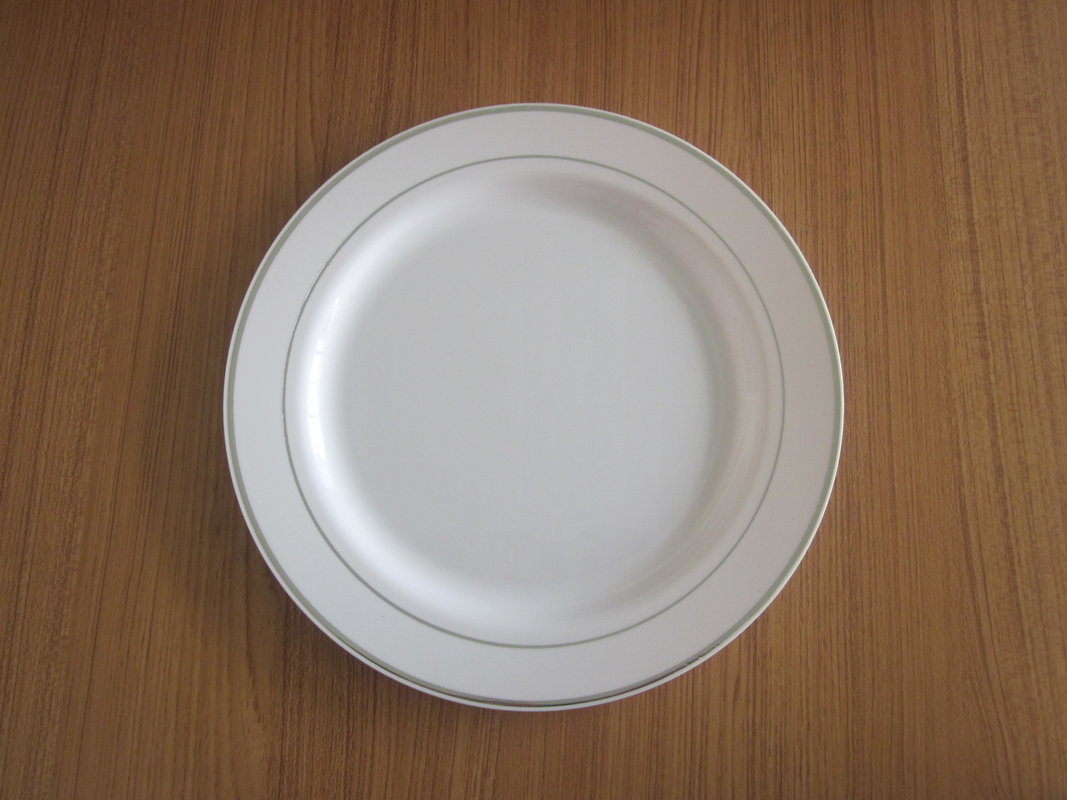 Decorline 10.25" Cream Dinner Plastic Plates w/ Gold Rim 10 1/4"  China