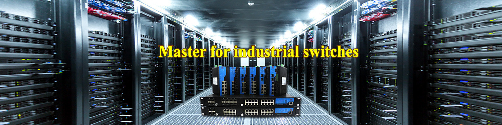 quality Industrial Managed Ethernet Switch factory